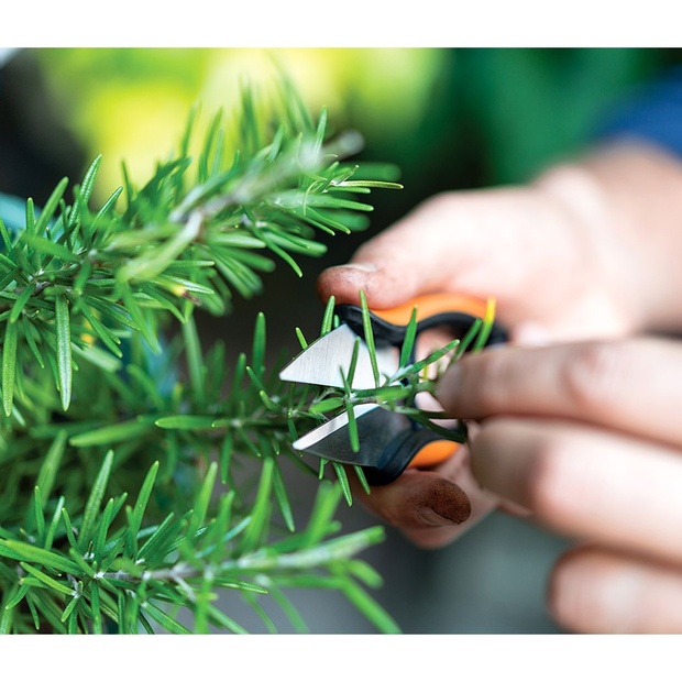 Fiskars Örtsax Snip SP220